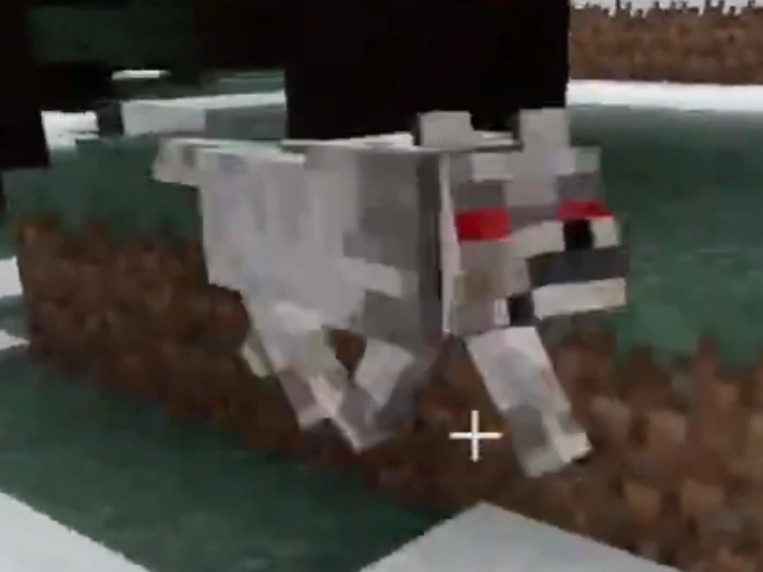 Wolf - 2 | Tsmc-minecraft Wiki | Fandom