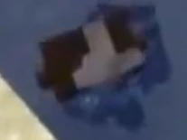 Cow - 10 | Tsmc-minecraft Wiki | Fandom