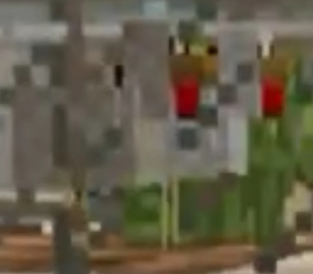 Chicken - 11 | Tsmc-minecraft Wiki | Fandom