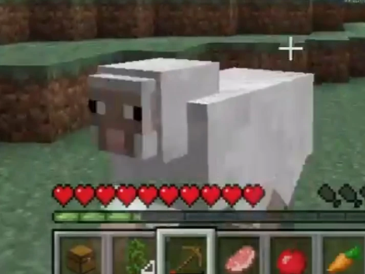 Sheep - 8 | Tsmc-minecraft Wiki | Fandom