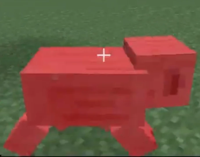 Stupid Pig | Tsmc-minecraft Wiki | Fandom