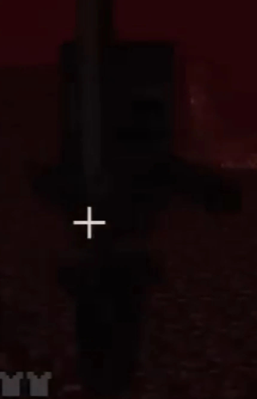 Wither Skeleton - 8 | Tsmc-minecraft Wiki | Fandom