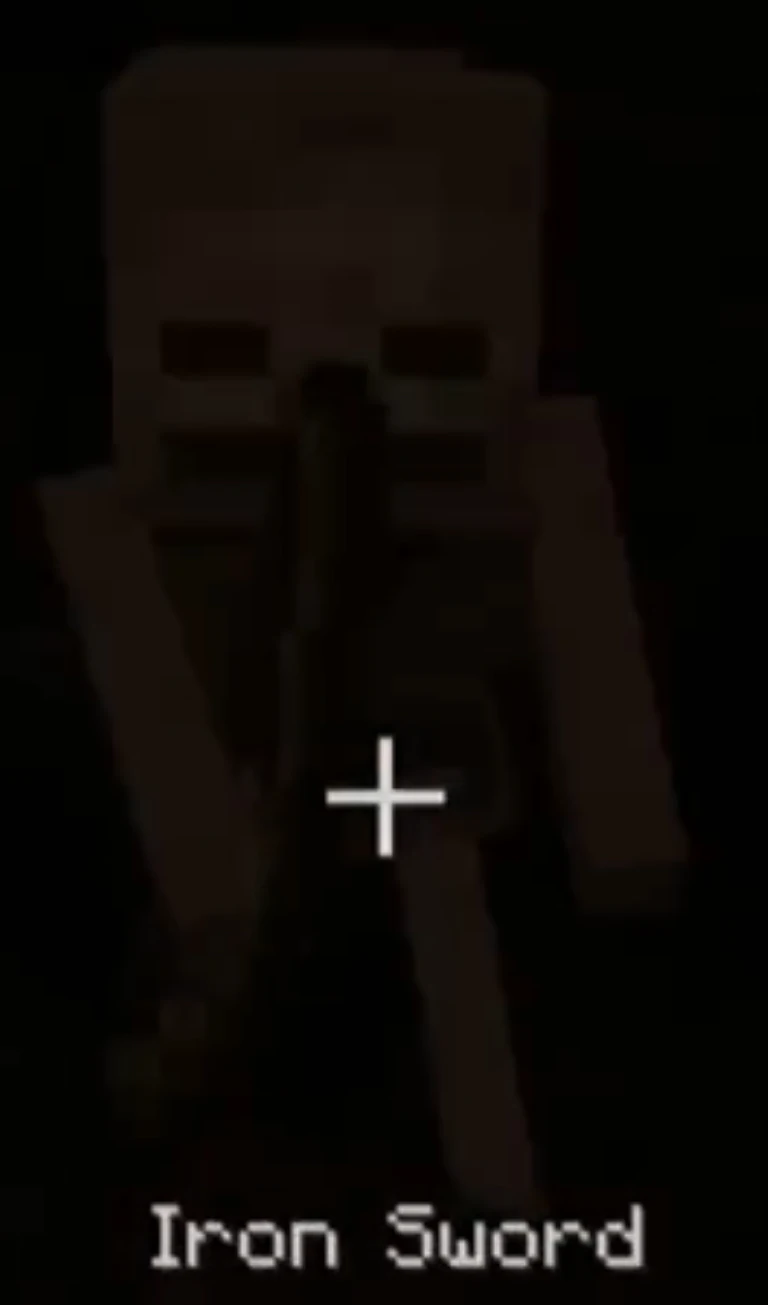 Skeleton - 30 | Tsmc-minecraft Wiki | Fandom