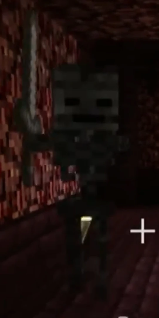 Wither Skeleton - 25 | Tsmc-minecraft Wiki | Fandom