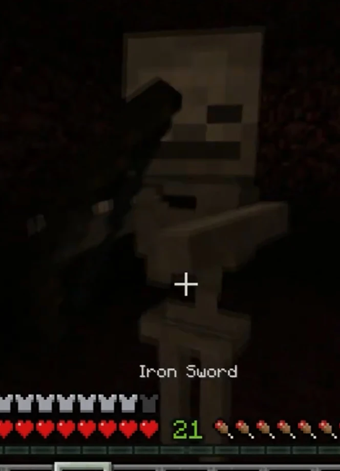 Skeleton - 33 | Tsmc-minecraft Wiki | Fandom