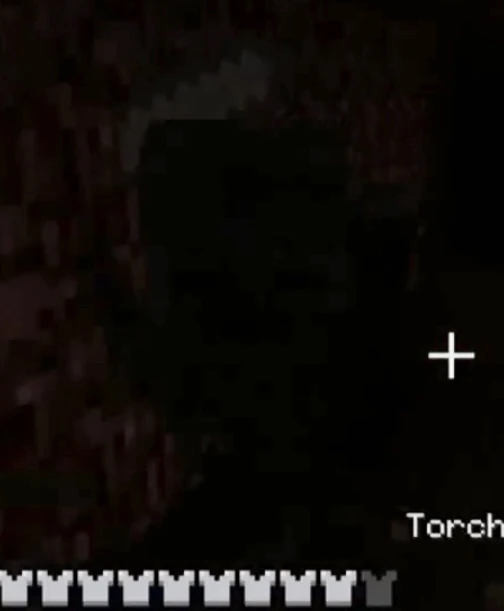 Wither Skeleton - 23 | Tsmc-minecraft Wiki | Fandom