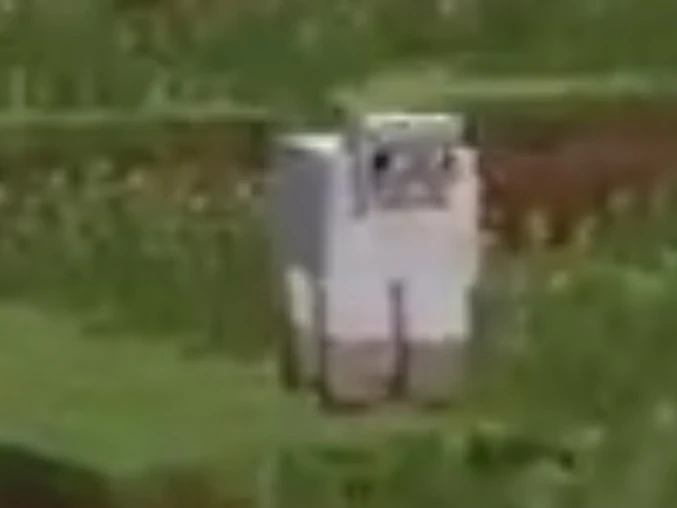 Sheep - 20 | Tsmc-minecraft Wiki | Fandom