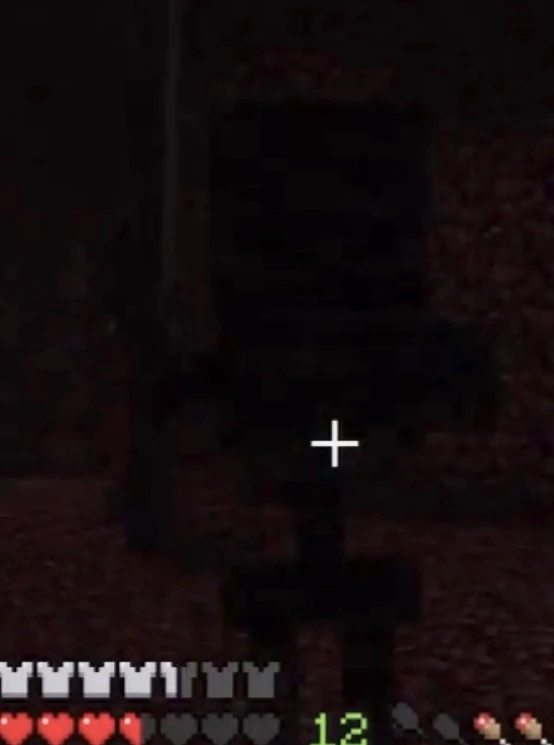 Wither Skeleton - 2 | Tsmc-minecraft Wiki | Fandom