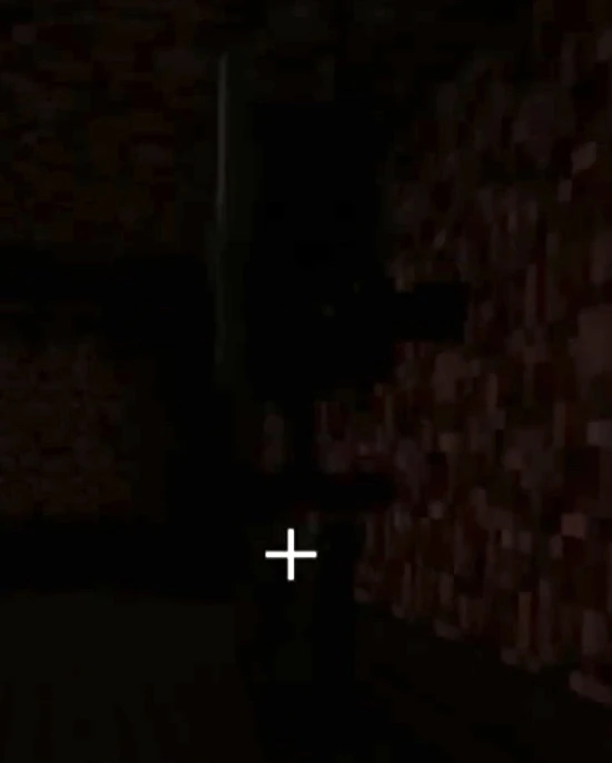 Wither Skeleton - 24 | Tsmc-minecraft Wiki | Fandom