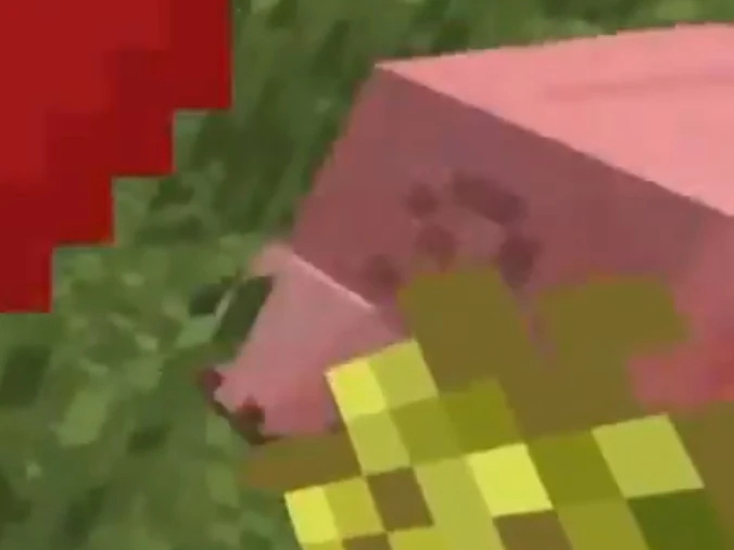 Pig - 3 | Tsmc-minecraft Wiki | Fandom