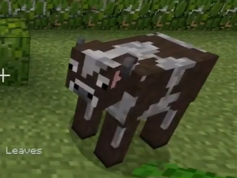 Cow in House Number 3 | Tsmc-minecraft Wiki | Fandom