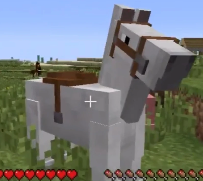 Donkey (Horse) | Tsmc-minecraft Wiki | Fandom