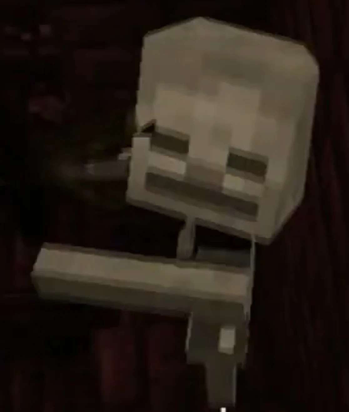 Skeleton - 35 | Tsmc-minecraft Wiki | Fandom