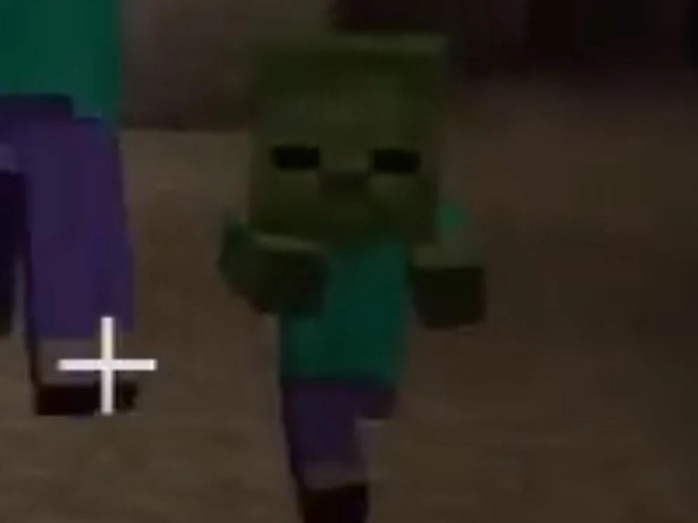 Baby zombie - 1 | Tsmc-minecraft Wiki | Fandom