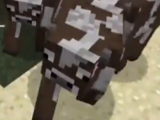 Cow - 8 | Tsmc-minecraft Wiki | Fandom