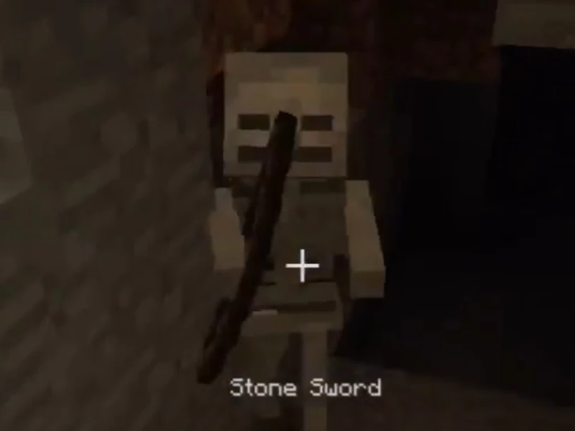 Skeleton - 9 | Tsmc-minecraft Wiki | Fandom