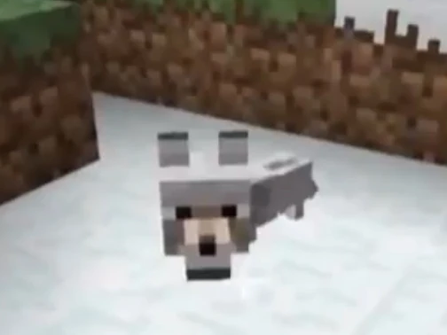 Tiny Wolf | Tsmc-minecraft Wiki | Fandom