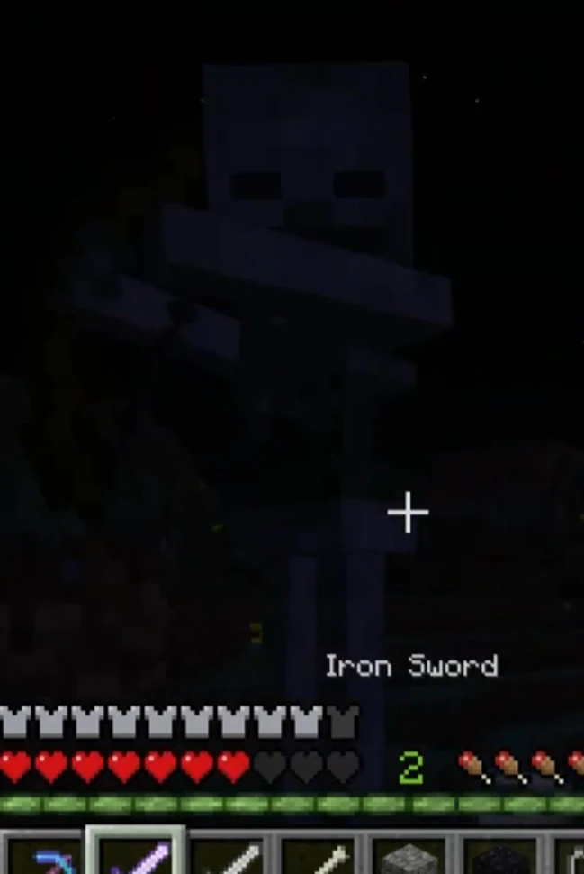 Skeleton - 40 | Tsmc-minecraft Wiki | Fandom