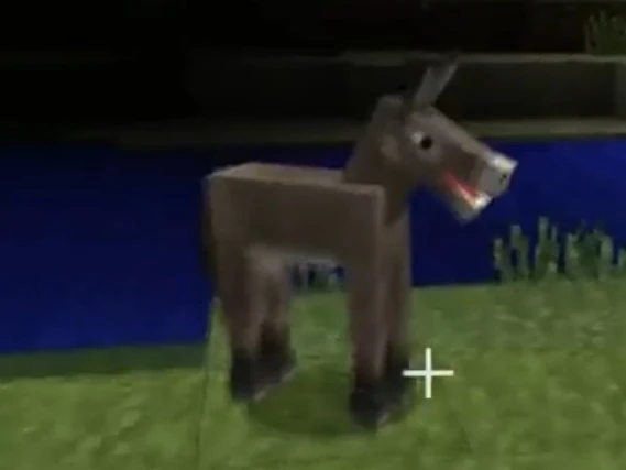 Donkey - 1 | Tsmc-minecraft Wiki | Fandom