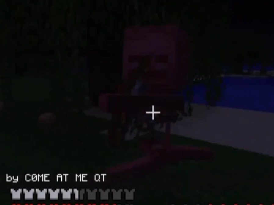 Skeleton - 4 | Tsmc-minecraft Wiki | Fandom