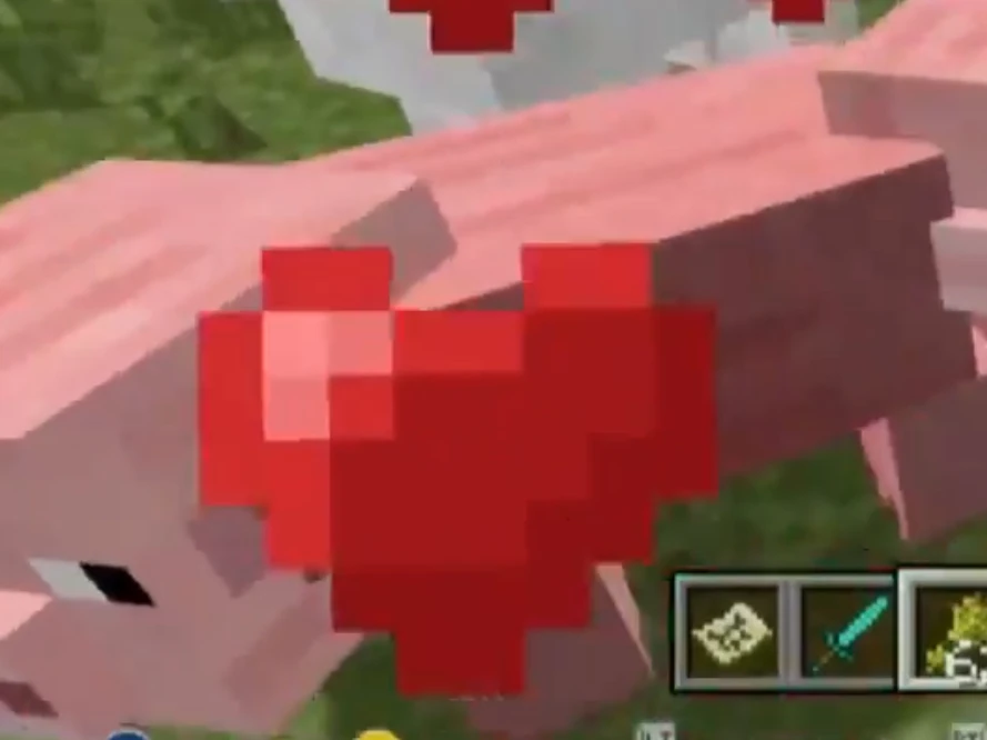 Pig - 1 | Tsmc-minecraft Wiki | Fandom