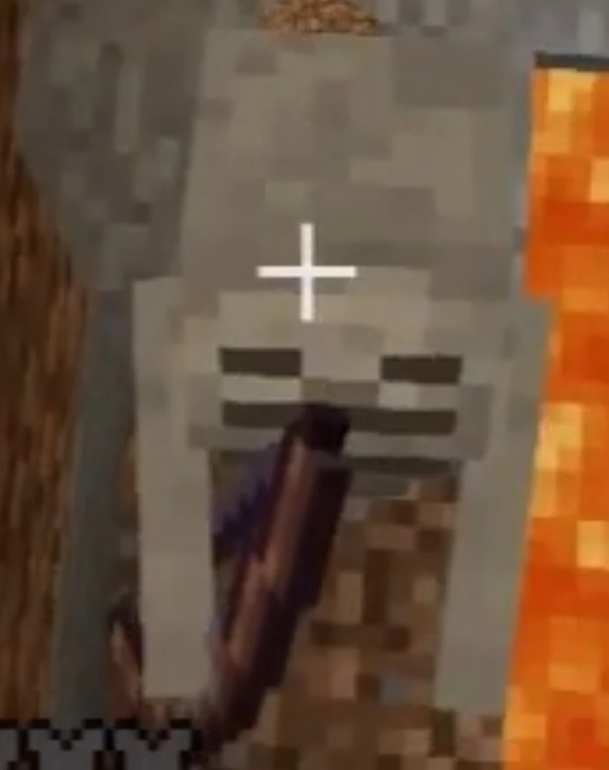 Skeleton - 13 | Tsmc-minecraft Wiki | Fandom