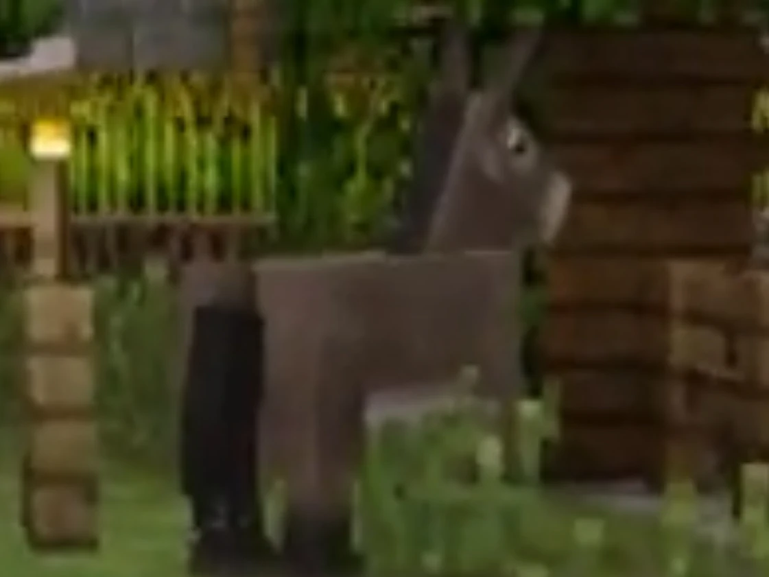 Donkey - 4 | Tsmc-minecraft Wiki | Fandom