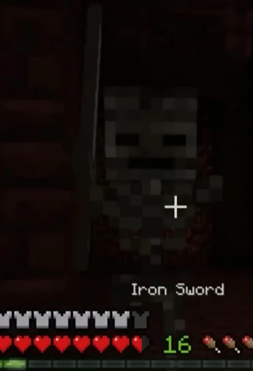 Wither Skeleton - 27 | Tsmc-minecraft Wiki | Fandom