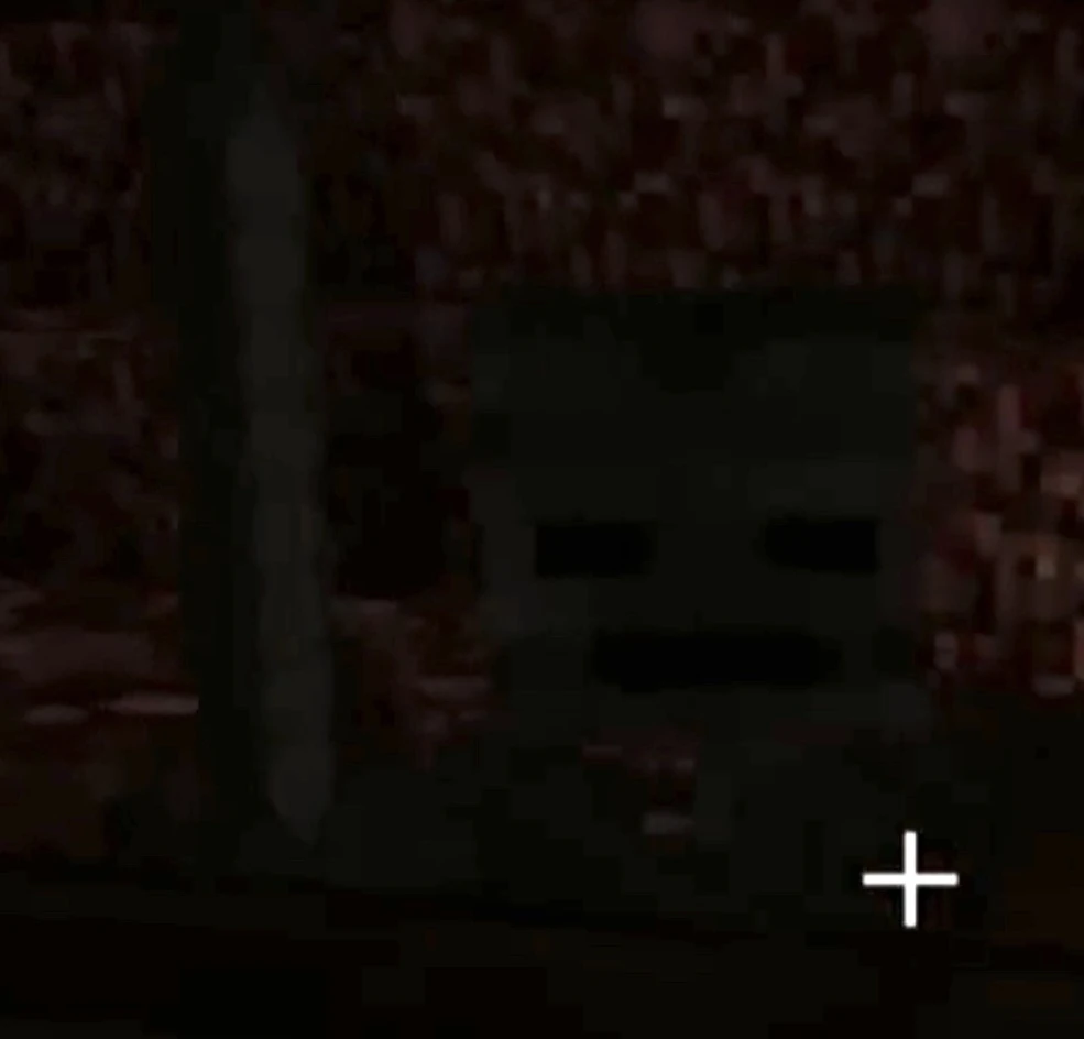 Wither Skeleton - 26 | Tsmc-minecraft Wiki | Fandom