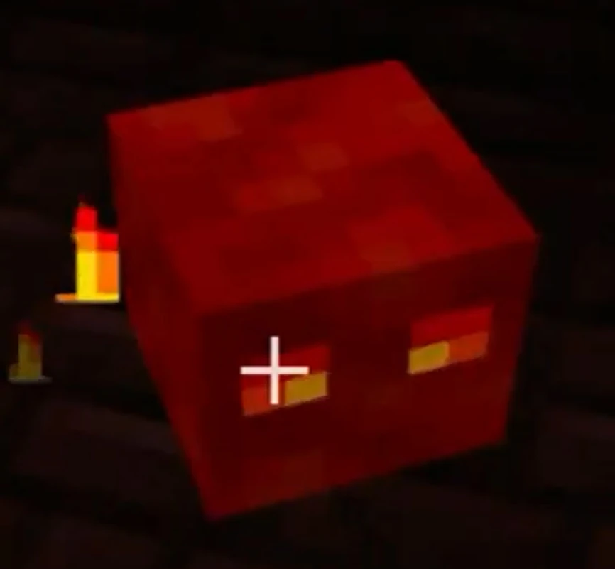 Magma cube - 42 | Tsmc-minecraft Wiki | Fandom