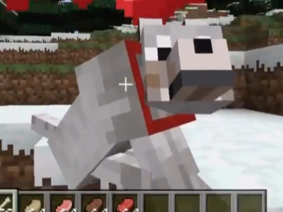 Dog - 1 | Tsmc-minecraft Wiki | Fandom