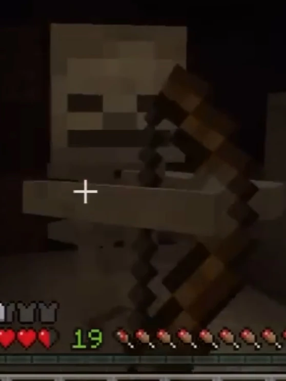Skeleton - 19 | Tsmc-minecraft Wiki | Fandom