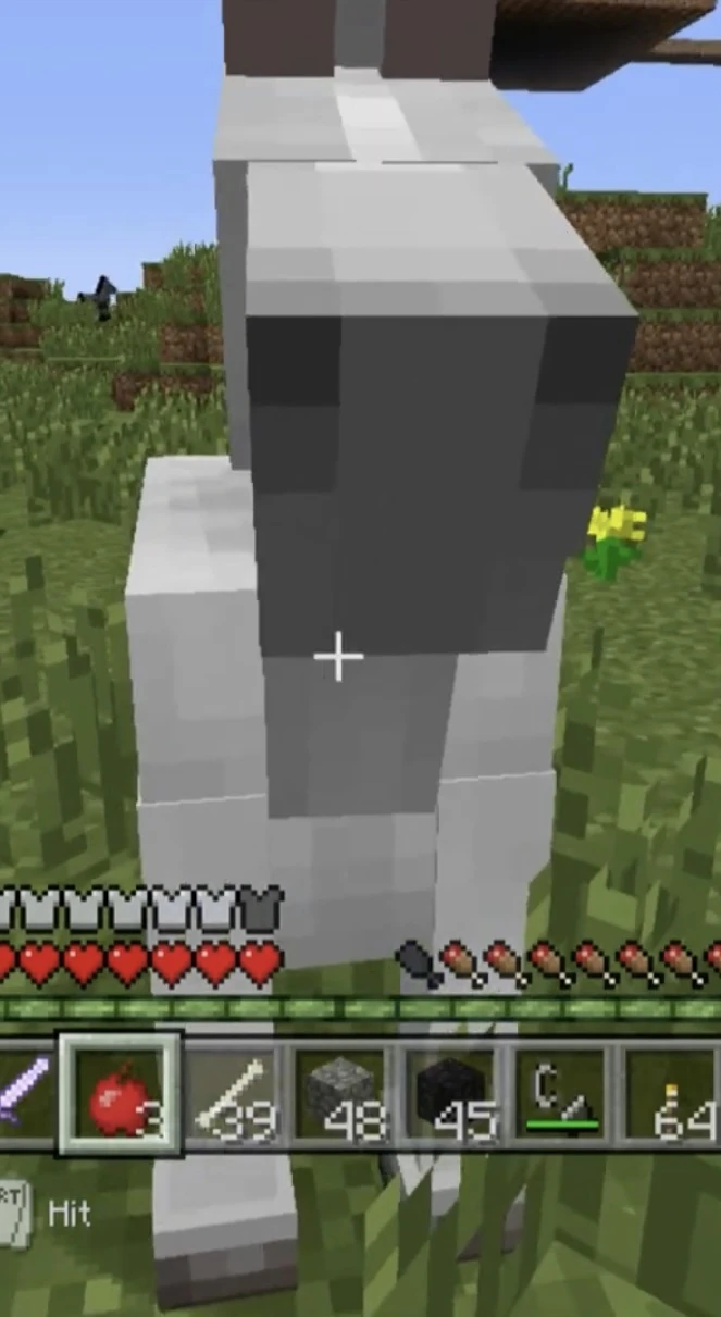 Horse - 4 | Tsmc-minecraft Wiki | Fandom