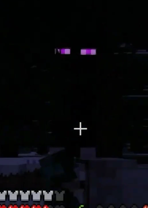 Enderman - 2 | Tsmc-minecraft Wiki | Fandom