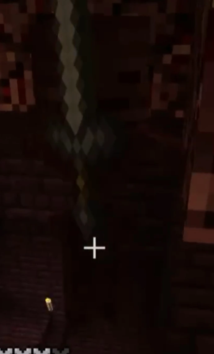 Wither Skeleton - 13 | Tsmc-minecraft Wiki | Fandom