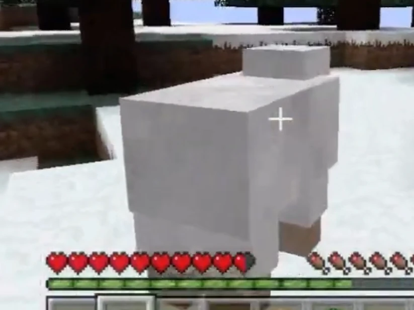 Sheep - 16 | Tsmc-minecraft Wiki | Fandom