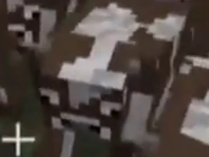 Cow - 5 | Tsmc-minecraft Wiki | Fandom