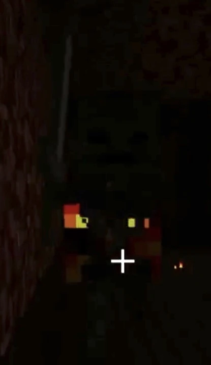 Wither Skeleton - 21 | Tsmc-minecraft Wiki | Fandom