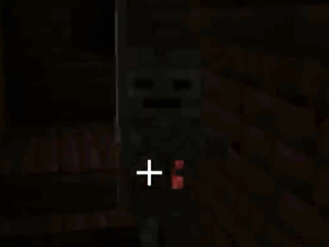 Wither Skeleton - 14 | Tsmc-minecraft Wiki | Fandom