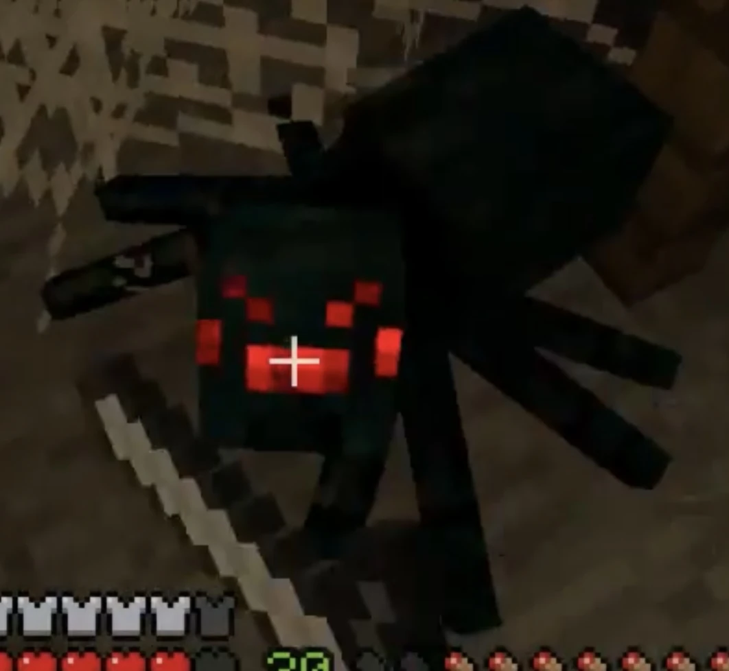Cave Spider - 3 | Tsmc-minecraft Wiki | Fandom