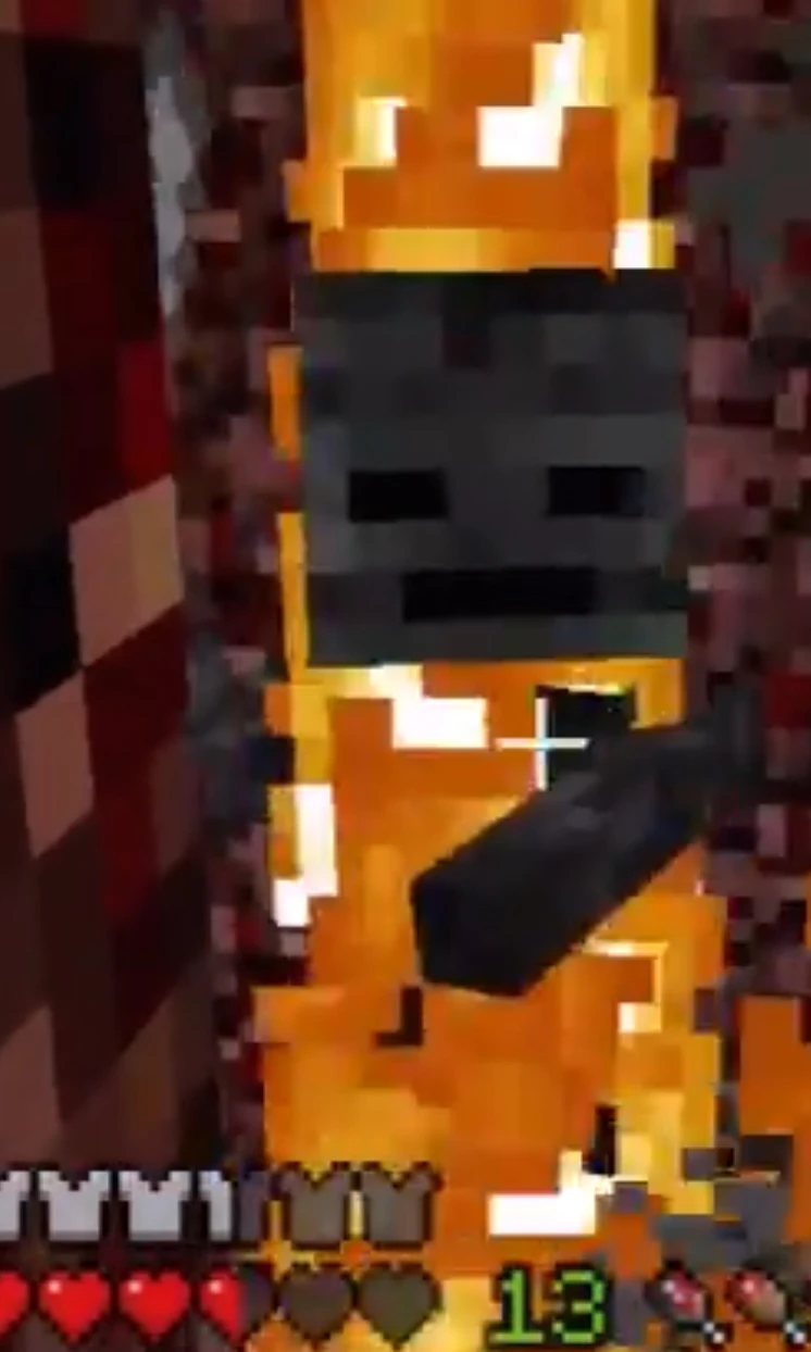 Fire Wither Skeleton | Tsmc-minecraft Wiki | Fandom