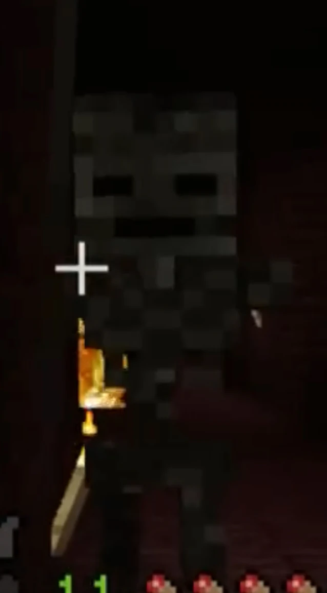 Wither Skeleton - 20 | Tsmc-minecraft Wiki | Fandom