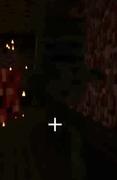 Wither Skeleton - 22 | Tsmc-minecraft Wiki | Fandom