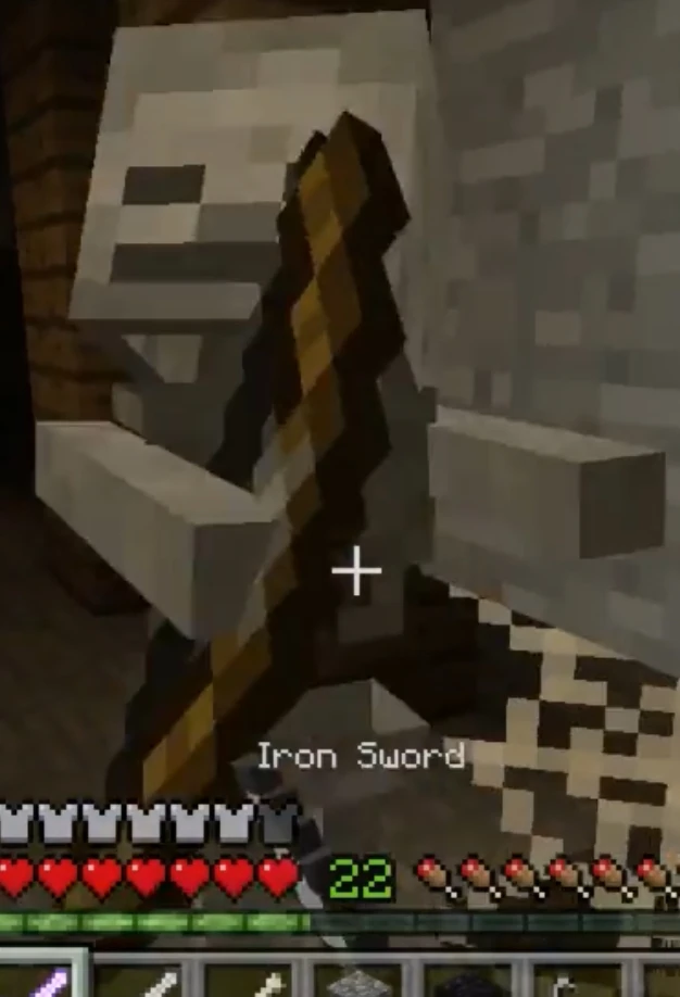 Skeleton - 52 | Tsmc-minecraft Wiki | Fandom