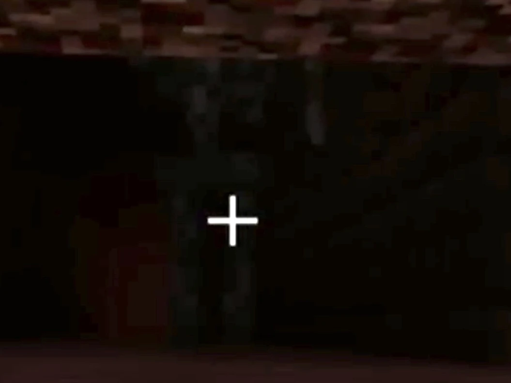 Wither Skeleton - 19 | Tsmc-minecraft Wiki | Fandom