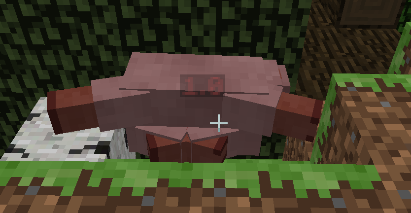 Splash Damage | Tranquil SMP Wiki | Fandom