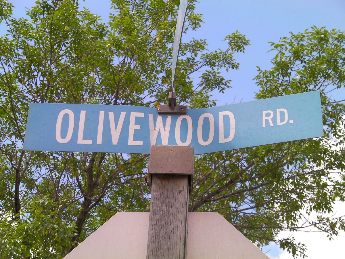 Etobicoke Type 3 | Toronto Street Sign Database Wiki | Fandom