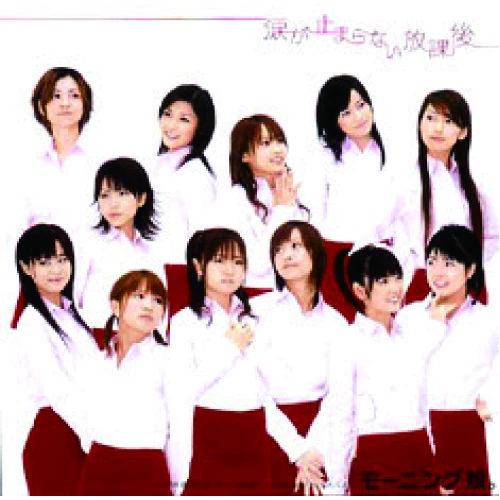 DB ID 288 | Tsunku Wiki | Fandom