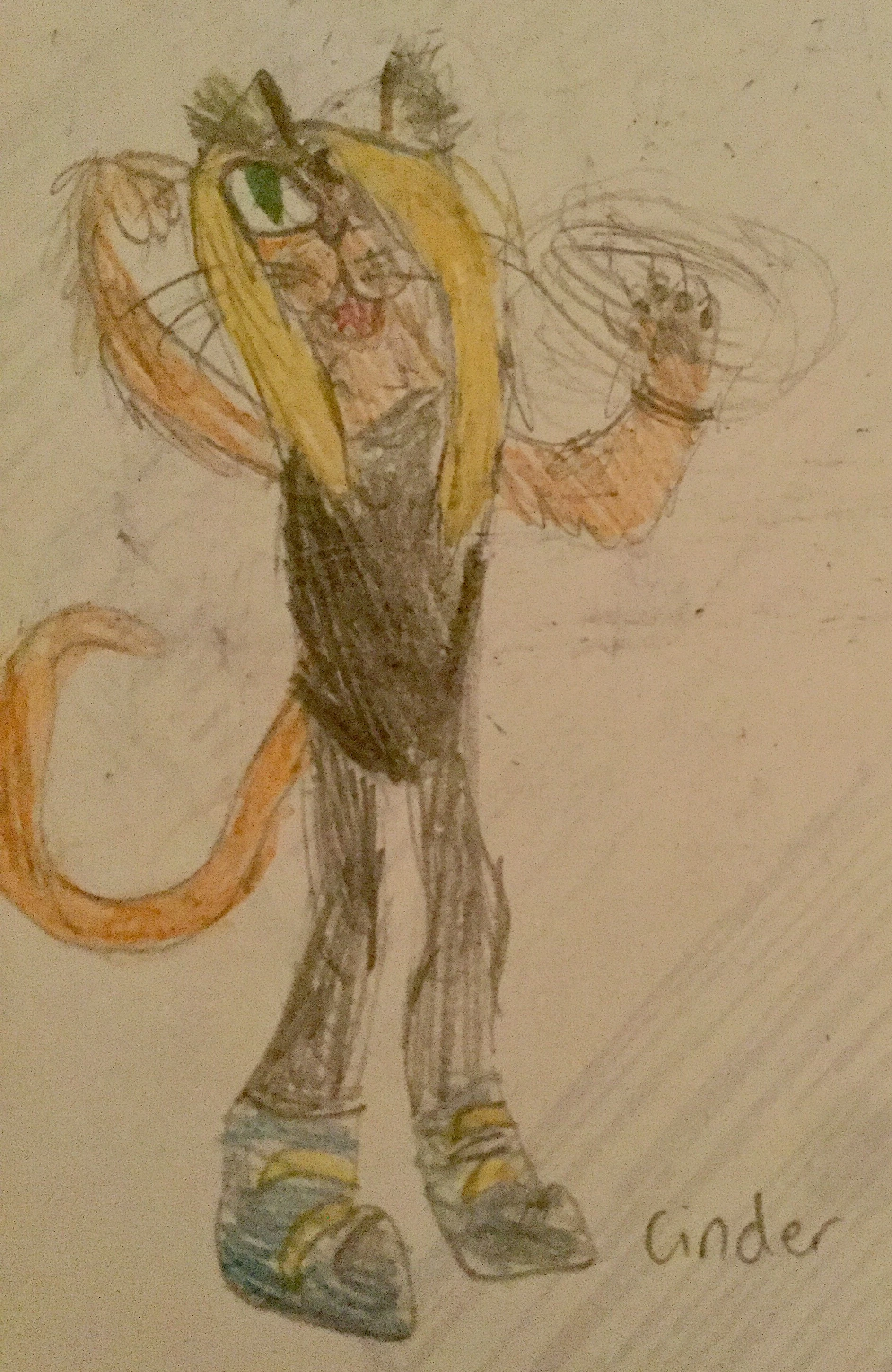 Cinder | Teen Titans Go! Fanon Wiki | Fandom