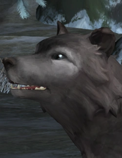 Quiver (Dog) | TTGOT Season 2 AU Wikia | Fandom